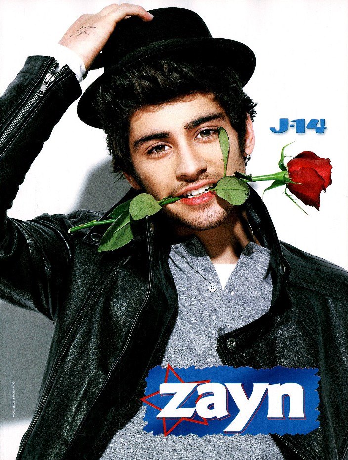 Directioners : Imagenes