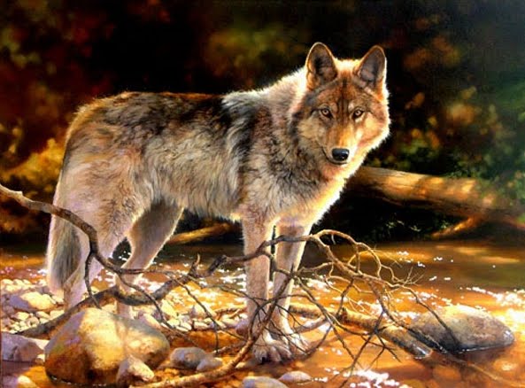 White Wolf : Bonnie Marris - wildlife artist of stunning realism