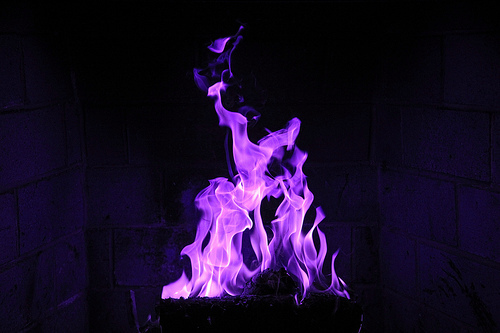 Purple Fire Sanctuary: Purple Fire Sanctuary Info