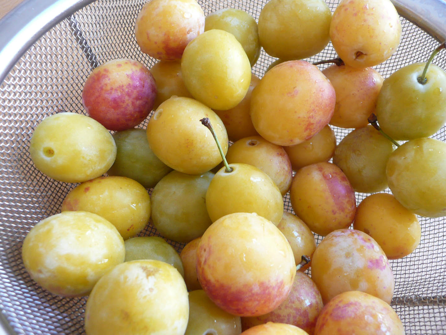 Mini Matriarchin: M wie Mirabellen und Mitbringsel