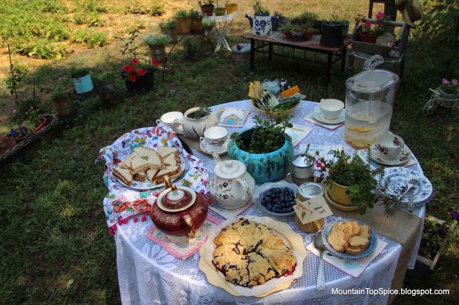 Summer Teas in the Garden | Mountain Top Spice