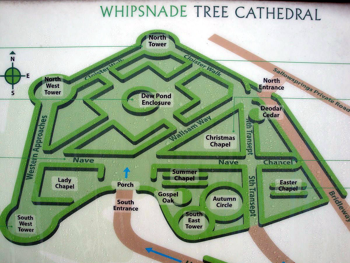 Blue Eyed Ennis: Trees and Sacred Spaces