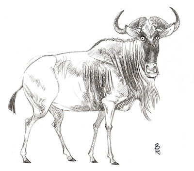 Animal Design by Barry Reynolds: W - Wildebeest