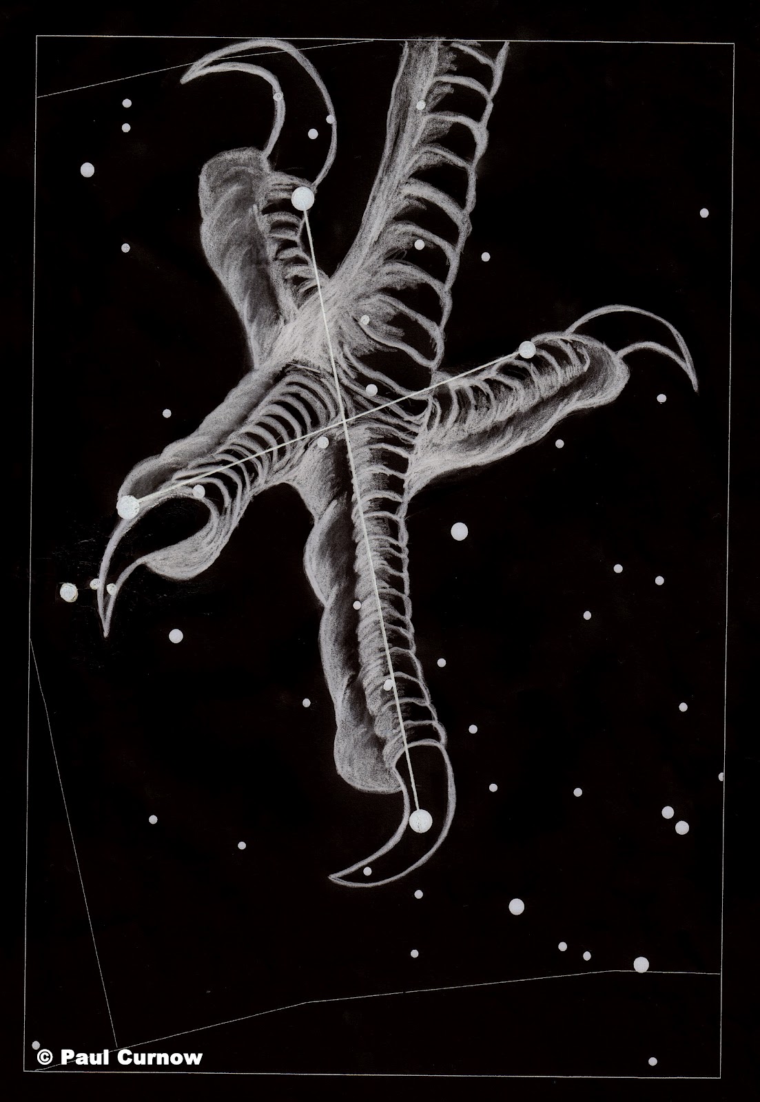 Australian Indigenous Astronomy: Eagle Dreaming