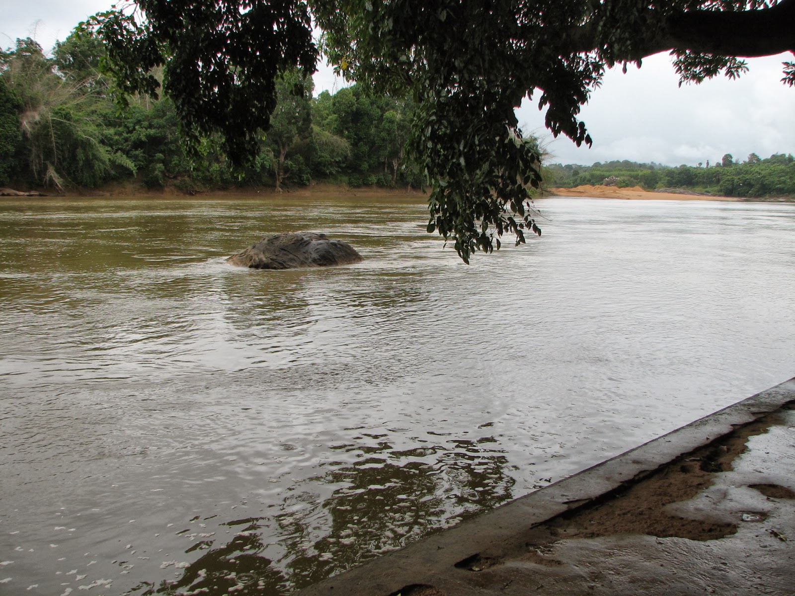 Tourism and Environment: Drive through the Hills of Karnataka ...