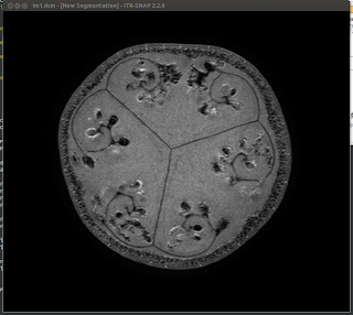 Images and Data: Patterns, Learning, and Analysis