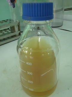 Media Kultur untuk Pertumbuhan Bakteri ~ Analis Kesehatan Indonesia