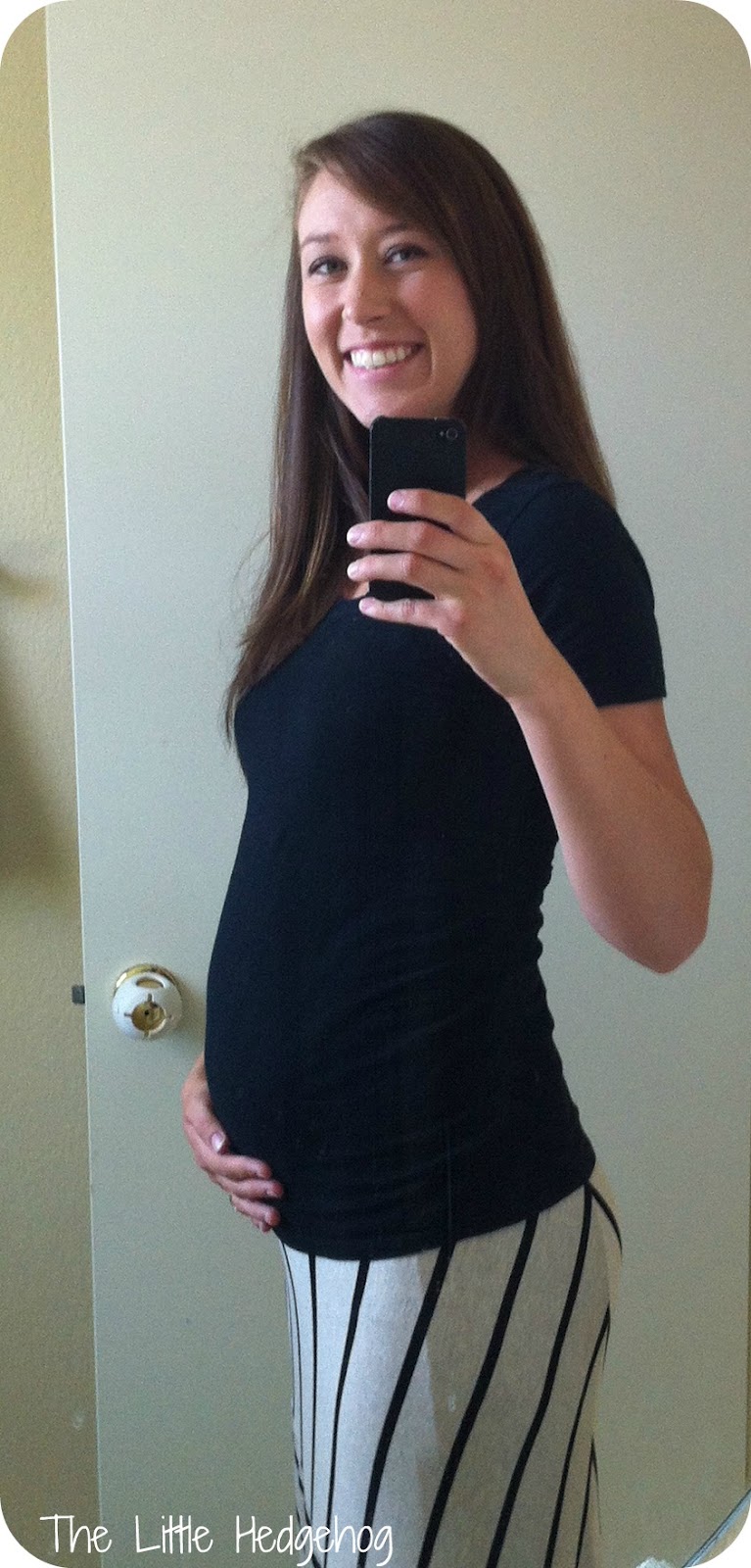 the little hedgehog: My Pregnancy Journal: 22 Weeks