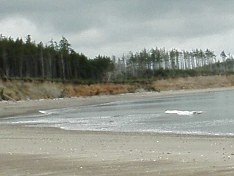 Haida Gwaii Tourism: Hiking the Cape Fife Trail