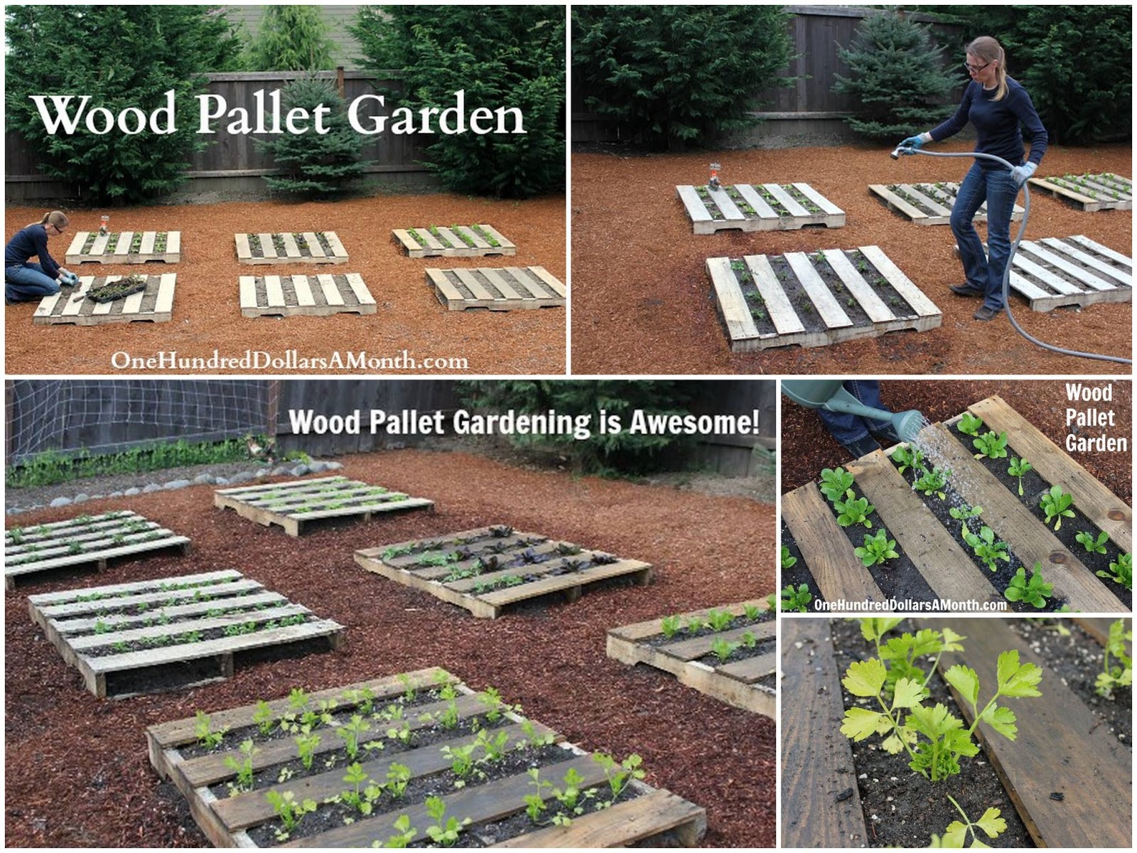 ForMaker: Horta com Pallets!