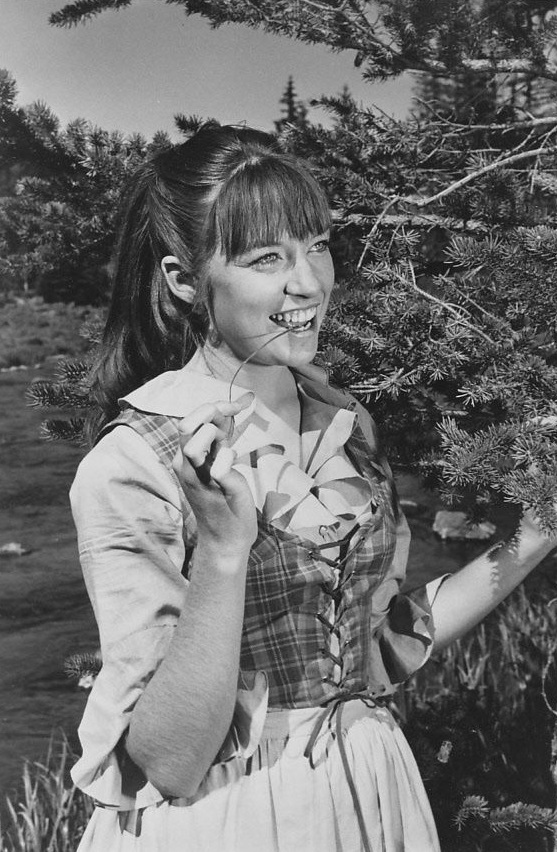 DANIEL BOONE (1964-1970)