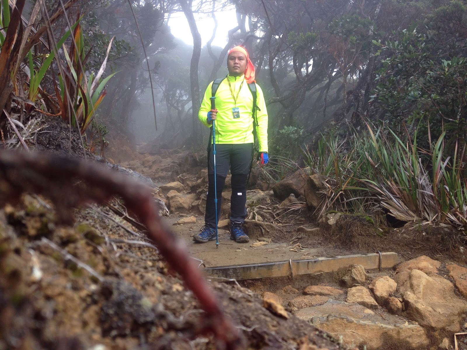 Aloy Paradoks Menulis