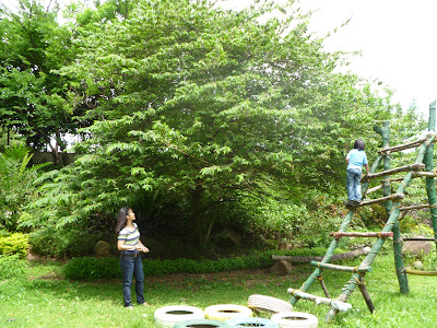 Aratiles - Occasions of JOY