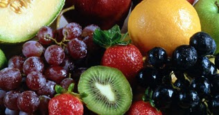 El Fruto - Botánica integra