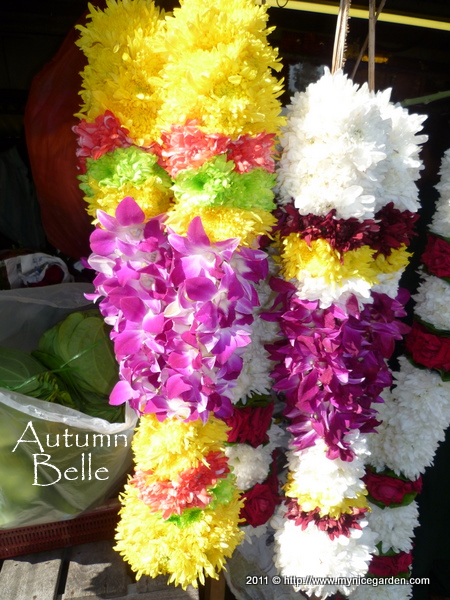 My Nice Garden: Flower Street at Little India Klang - Part 2 Flower ...