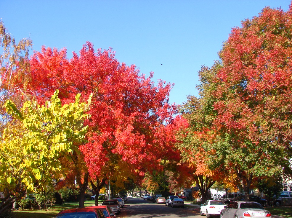 Geotripper: The Beautiful Days of Autumn in the Great Valley