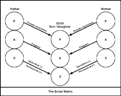 Transactional Analysis Theory and Practice: Transactional Analysis ...