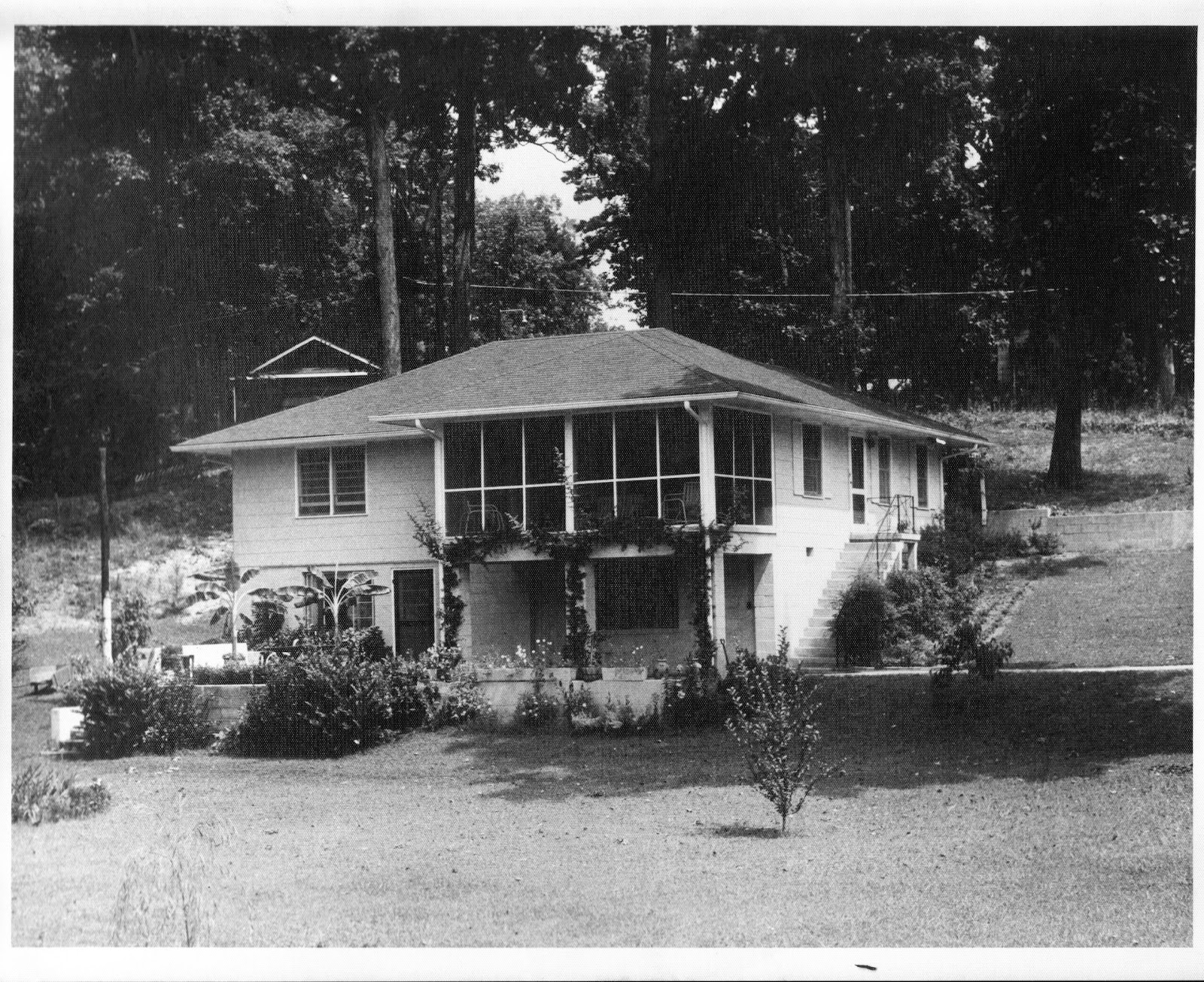 Pine Lake: The Blog: Claude Suttle's Photos from the 1960s