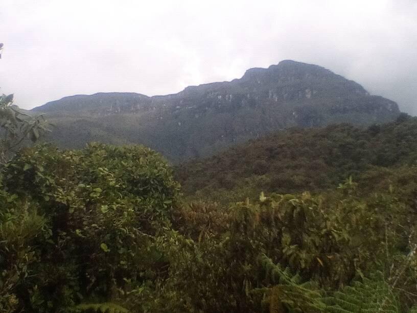 Cerro Cóndor Puna en Aramango