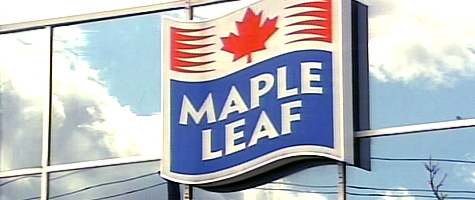 History of All Logos: All Maple Leaf Logos