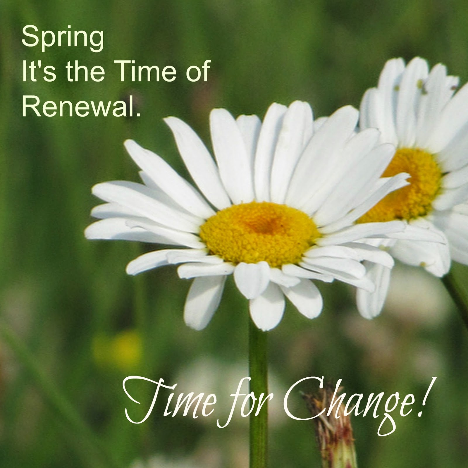 Thrive: Live Life Fearlessly: 30 Spring Affirmations - Inspiration for ...