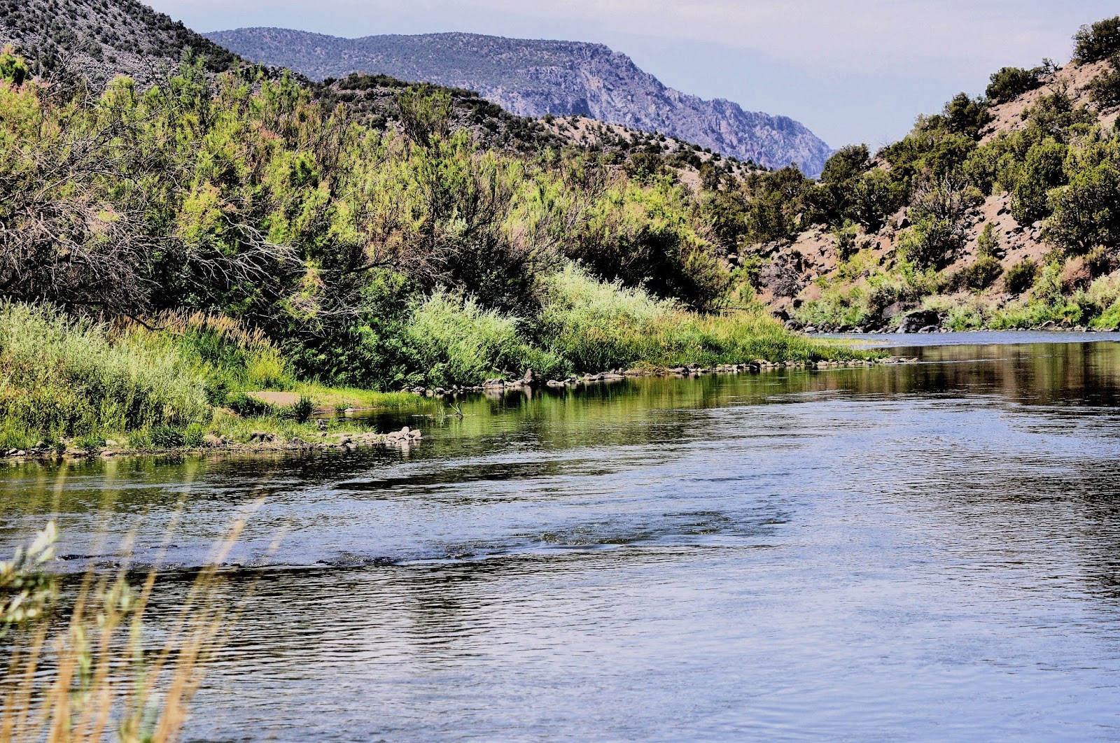 The Rio Grande Wild and Scenic River