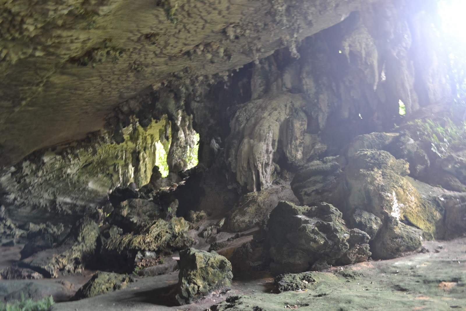 Travel My Way: Jelajah Miri Part 2 : Gua Niah - Taman Negara Niah