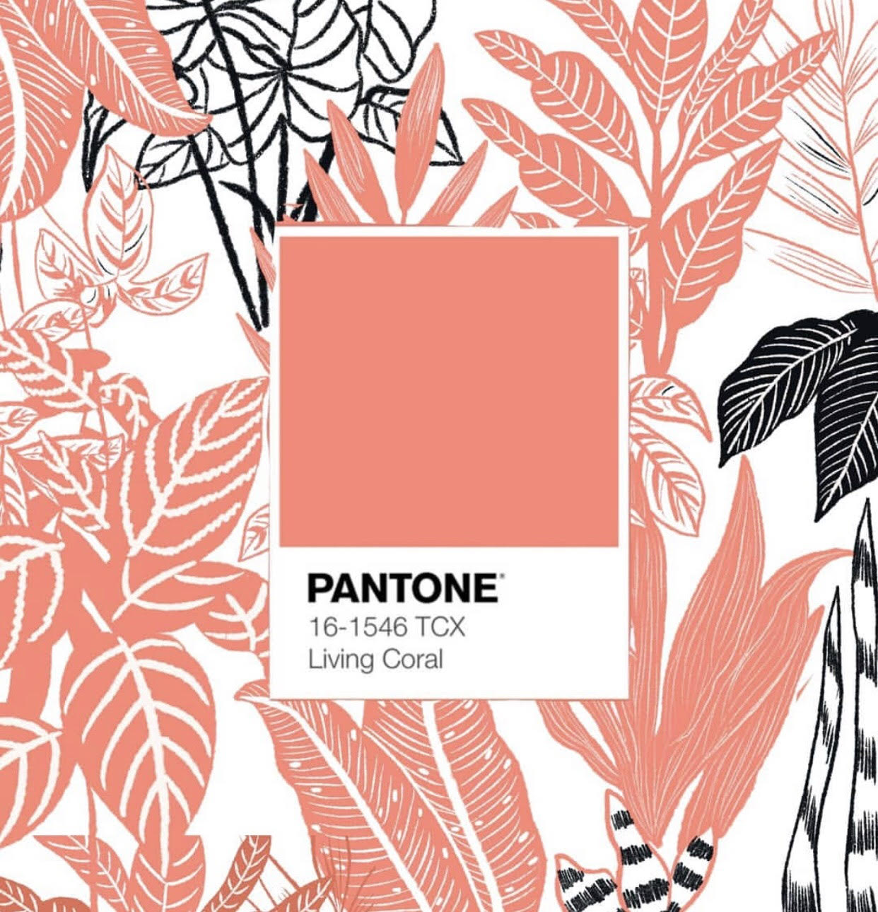 Bimba y sus cosas: PANTONE 2019: LIVING CORAL 16-1546