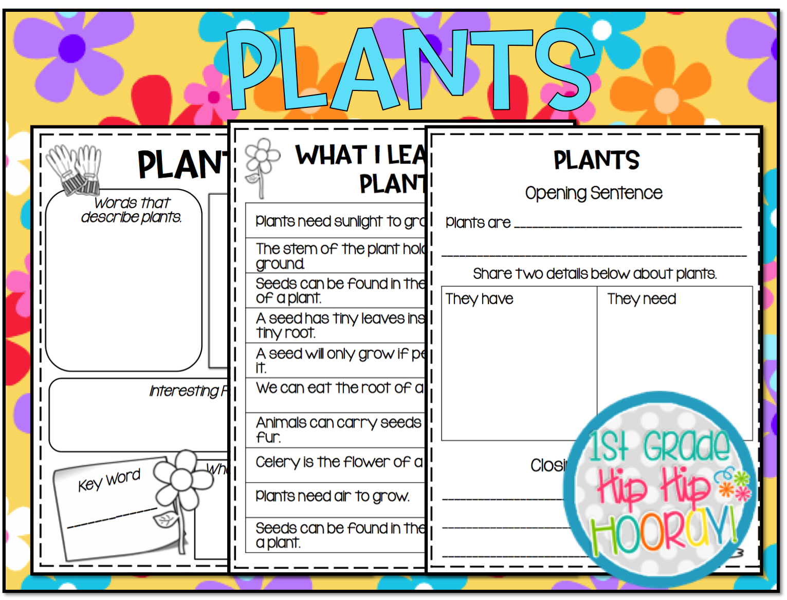 1st Grade Hip Hip Hooray!: Plants ... Growing our knowledge!