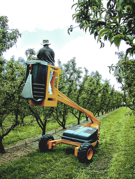 Industrial Design in Victoria Australia: Picking winners - edp powerladders