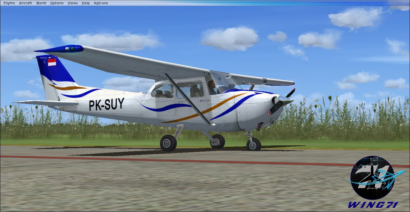 FSX Textures ~ WING 71