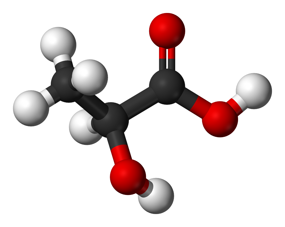 Lactic Acid Fermentation Agriculture Livestock lactic-acid-fermentation-agriculture-livestock