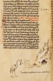 monteverdelegge: novembre 2013