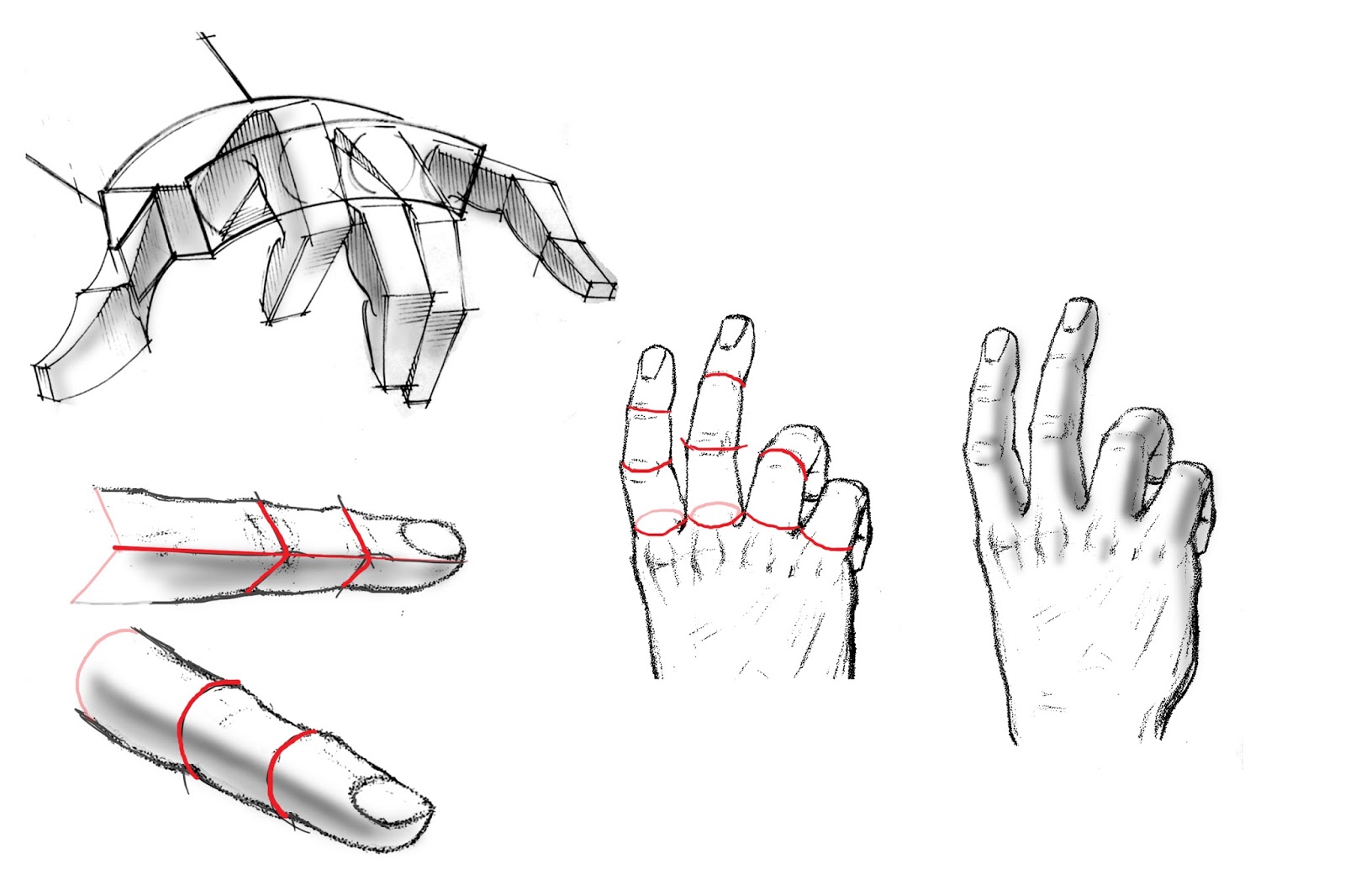 Winter 2018 Étude de la forme humaine A) // Drawing the Human form A ...