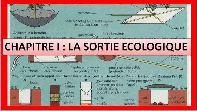 Bac inter > Cours SVT Tronc : La sortie Écologique - SVT+