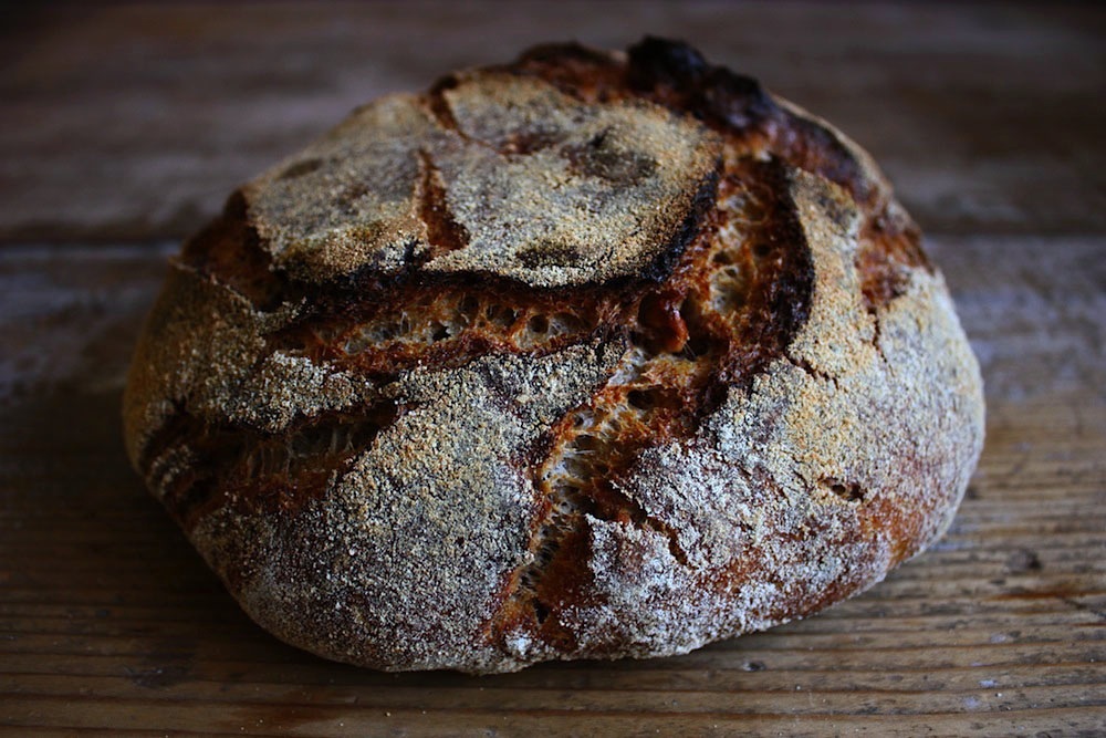 Girl Meets Rye : 100% Red Fife Walnut Bread : Hand-Milled, Hand-Bolted