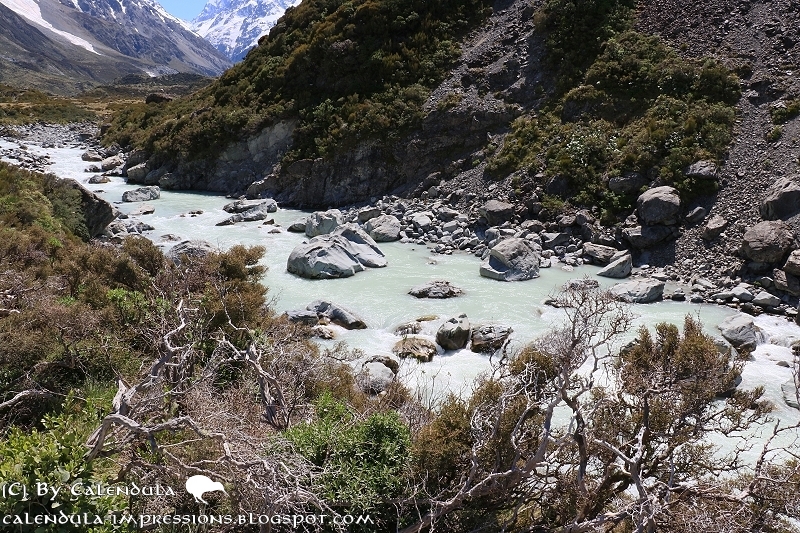 NZ, 5. Teil, Aoraki/Mount Cook National Park