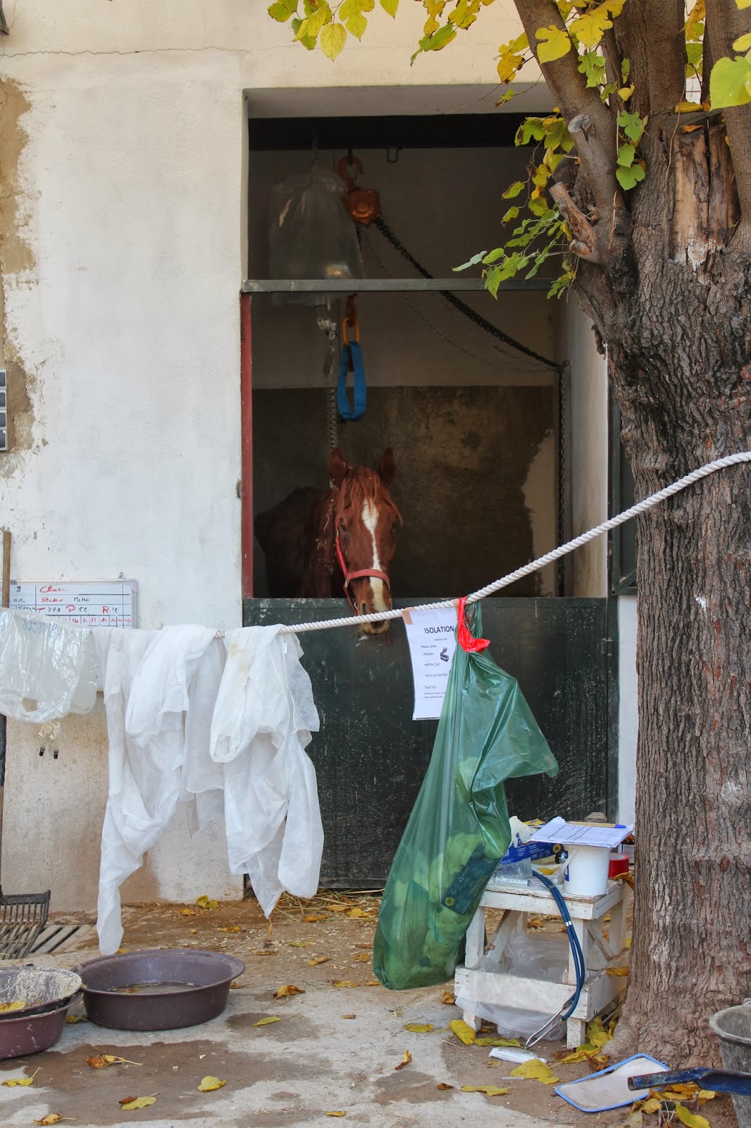 The Ninth Year...: Morocco: The American Fondouk