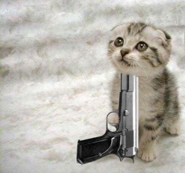 All Wallpapers: Funny Cats With Guns Wallpapers