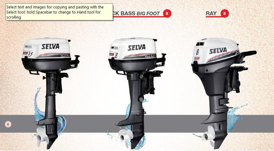 Selva Marine: Selva Marine qualidade nos motores fora de bordo