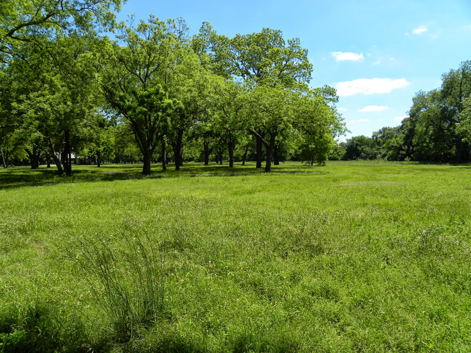 Family Adventures: Green Prairie at Oak Point