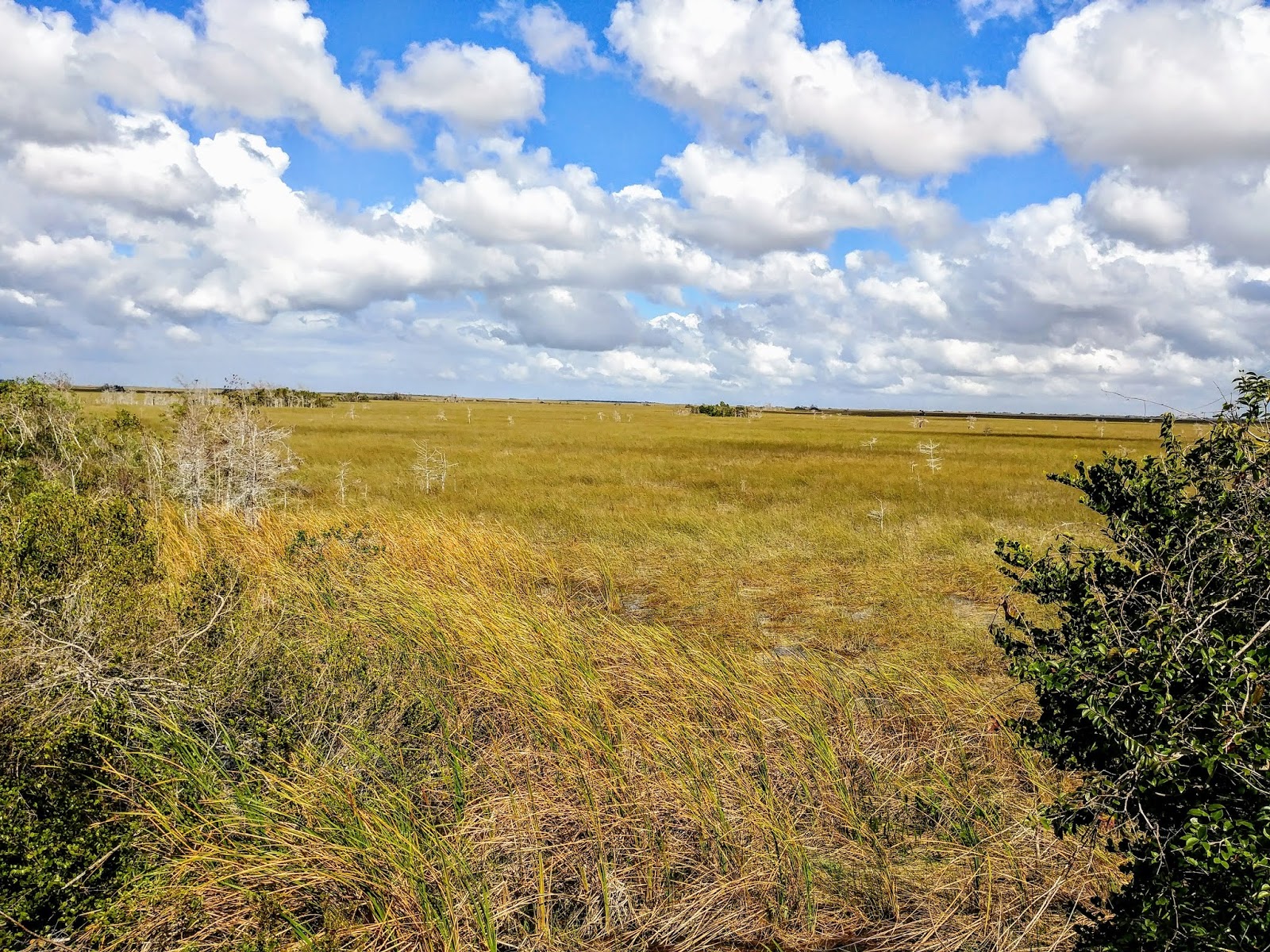 Another Mile Another Destination Blog: Everglades National Park ...