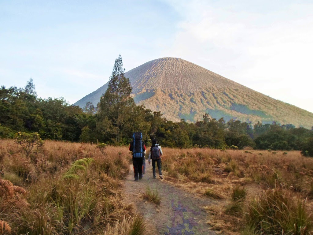 Pendakian Gunung Semeru via Ranu Pane, Menuju Atap Tertinggi Jawa ...