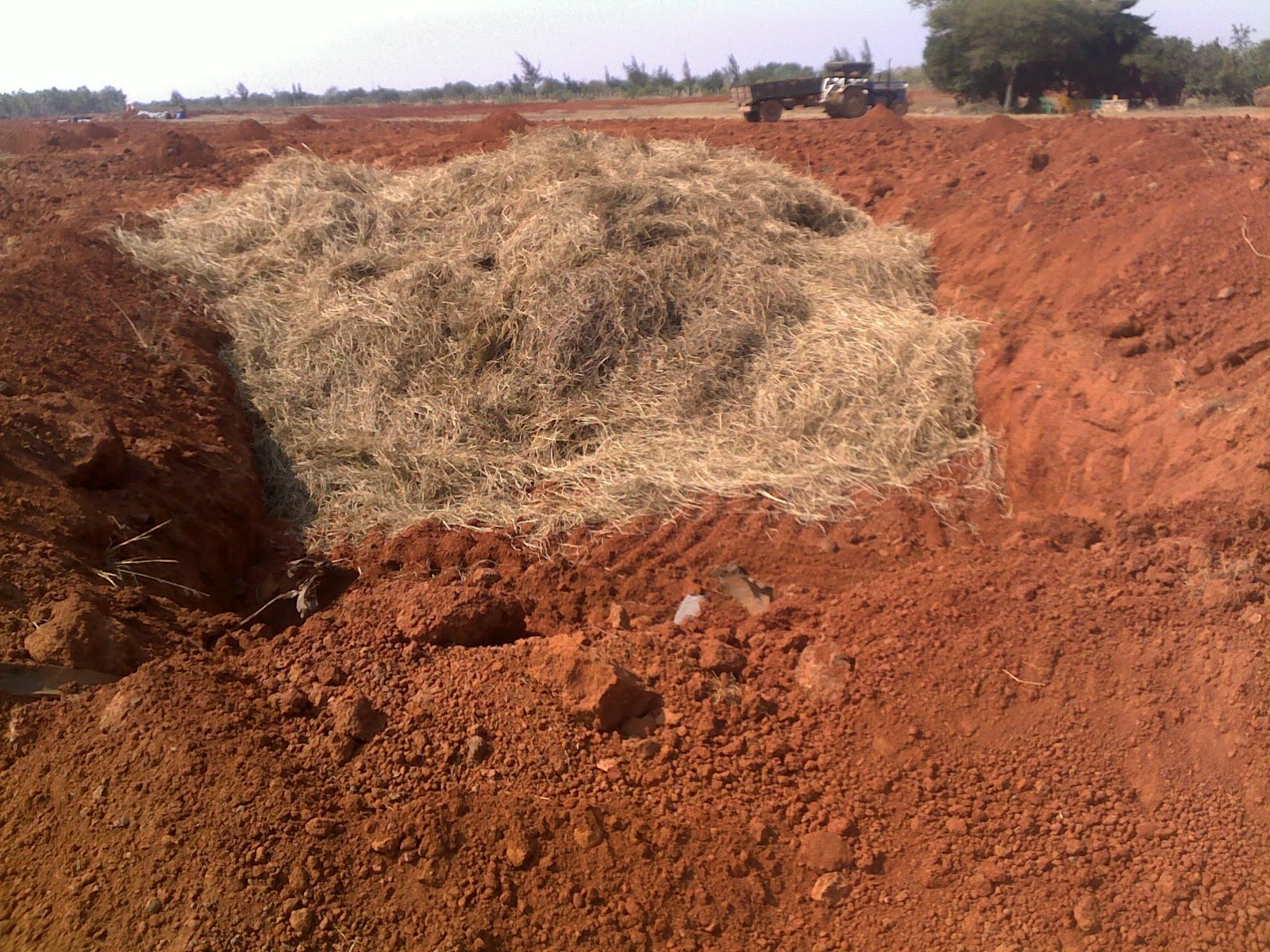 Techie2Aggie: Making some in-house organic Manure: Paddy Waste