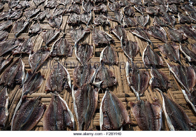 Travel Myanmar: Ngapali Beach: The Natural Beauty of Myanmar