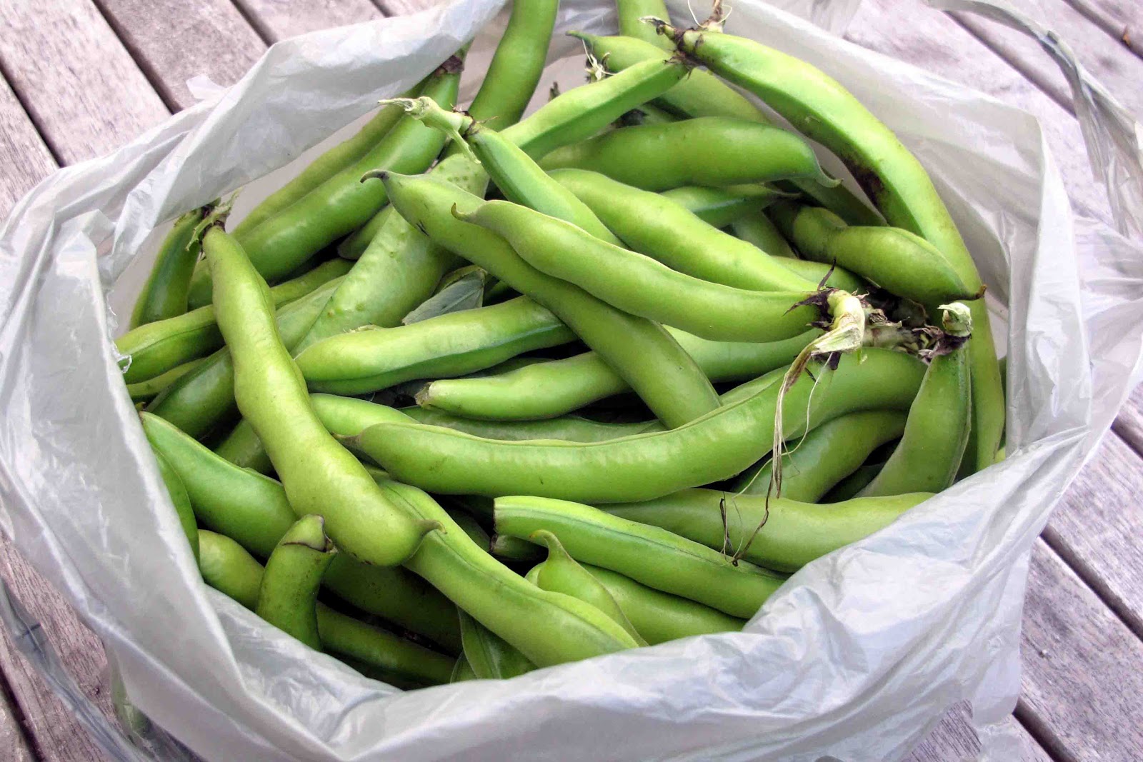 Shoot and Eat: Three Asparagus and Broad (Fava) Bean Salads