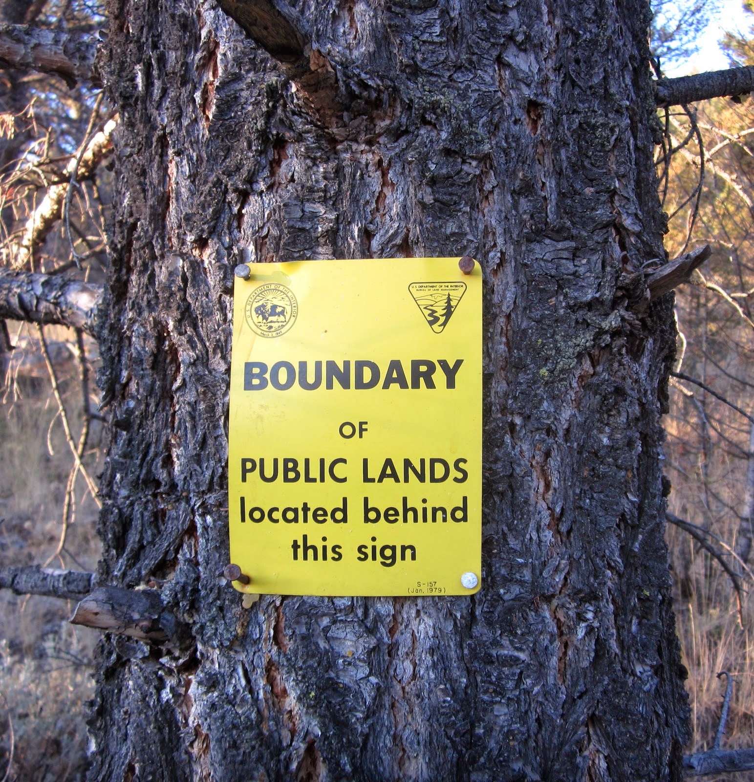 Bluegrass Bowhunter: Public Land Hunting: Road Side Setups