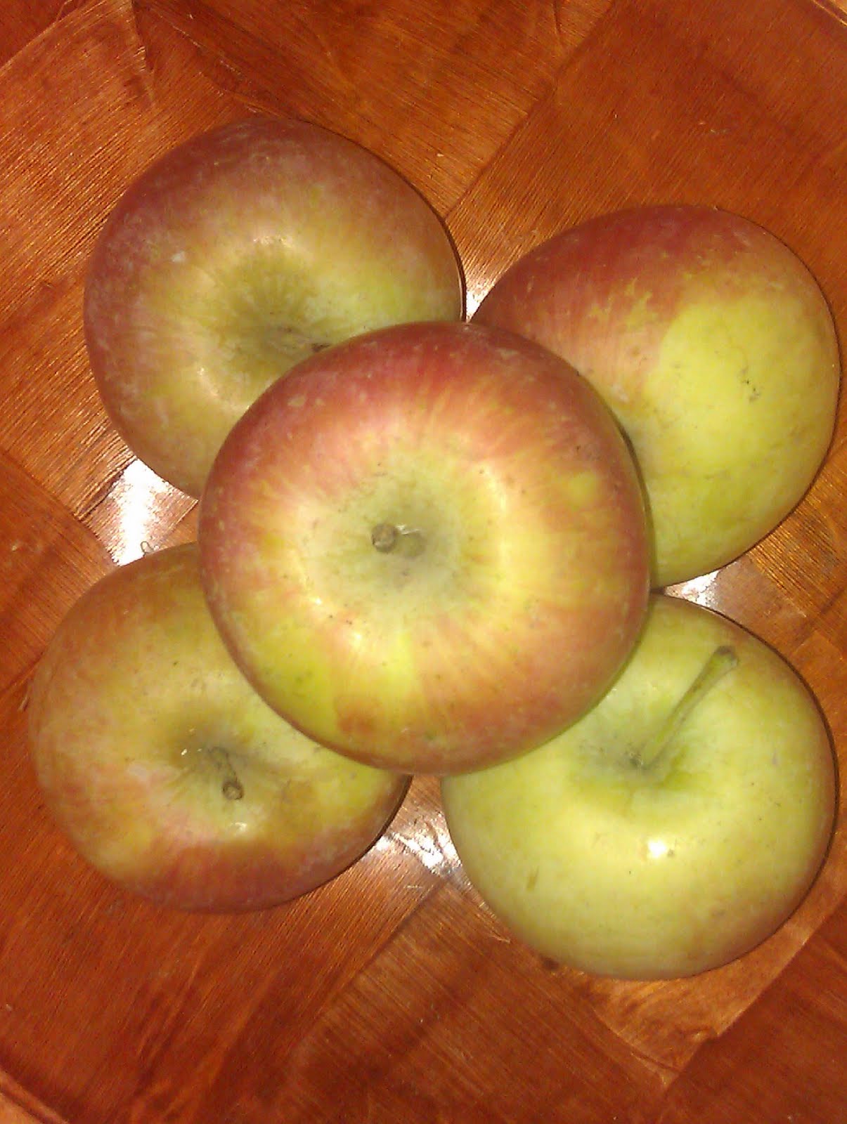 ALIMENTACION HOLISTICA: MANZANA