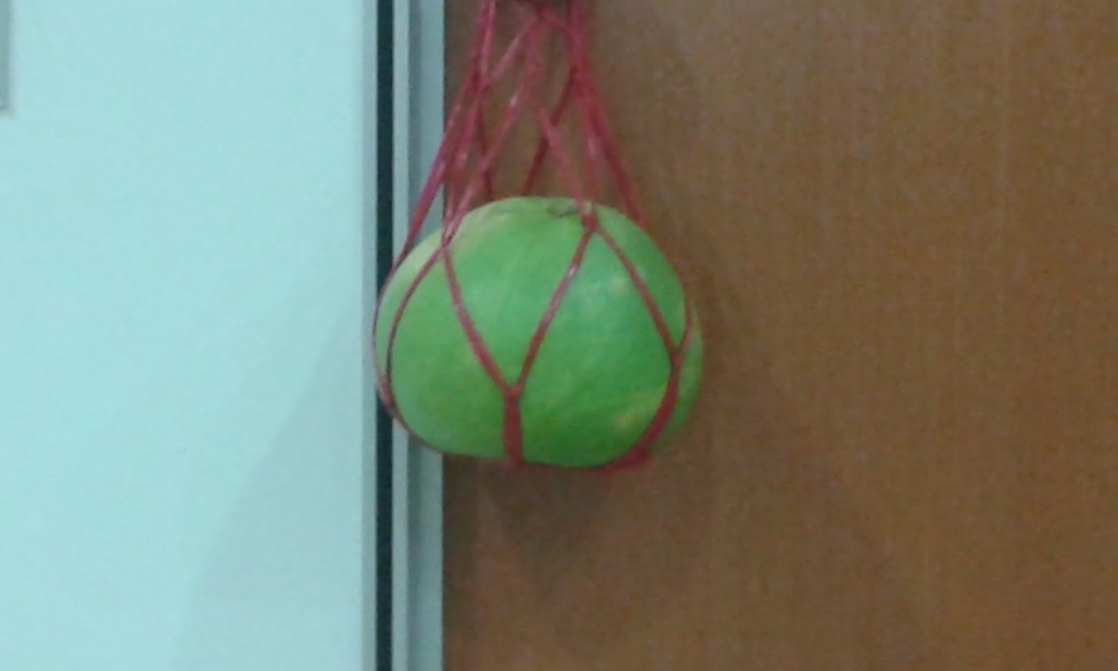 Maksud Limau Mandarin Ketika Perayaan Tahun Baharu Cina