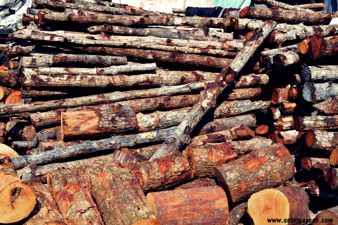 Cara Nak Buat Arang Dari Buluh